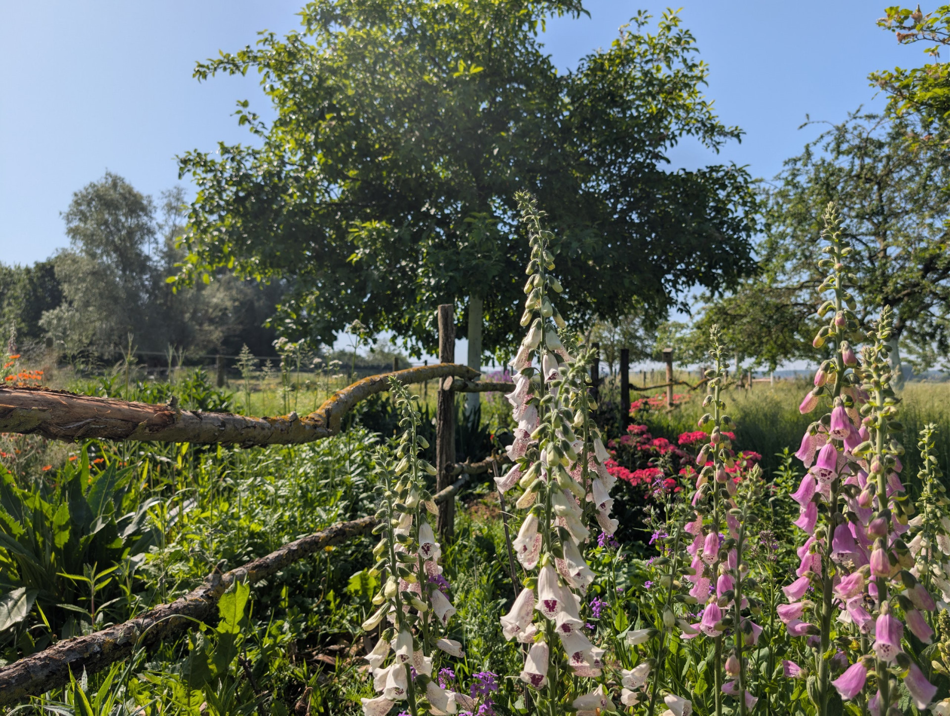 Le Jardin de Cindy et Eric chez Cindy Delaleau | Office de tourisme ...
